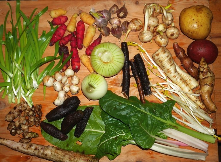 Edimentals ! | Perennial vegetables, Edimentals (plants that are edible ...