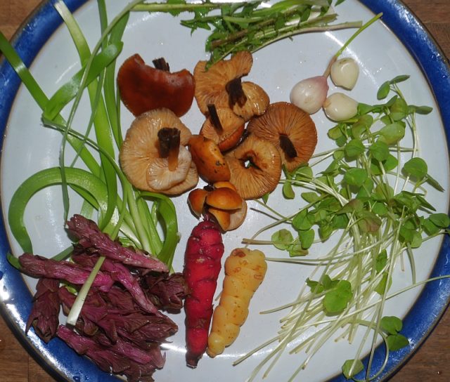 Edimentals ! | Perennial vegetables, Edimentals (plants that are edible ...