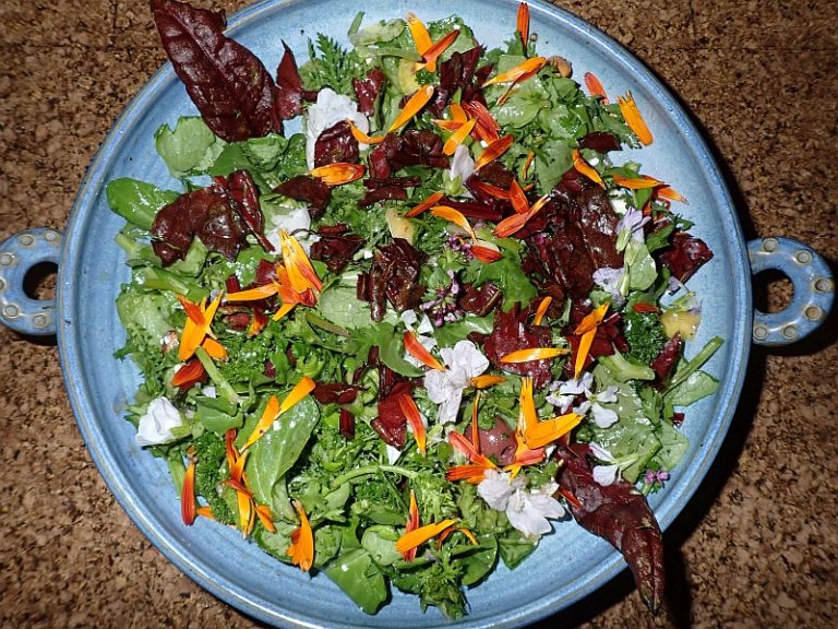 Edimentals ! | Perennial vegetables, Edimentals (plants that are edible ...